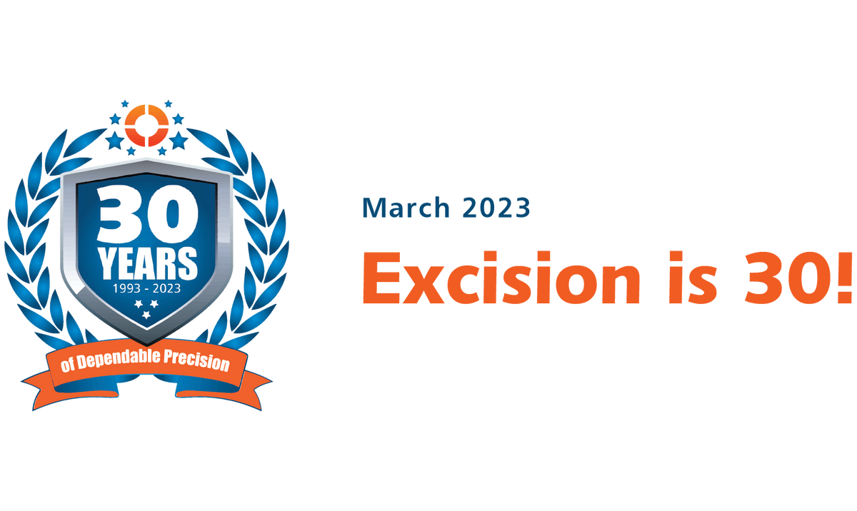 Celebrating 30 Years of Excision – Excision Pty Ltd